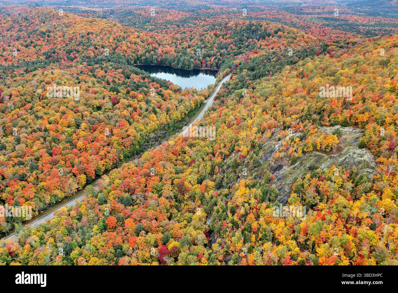 A road slices through the colorful autumn landscape along Panther Pond ...