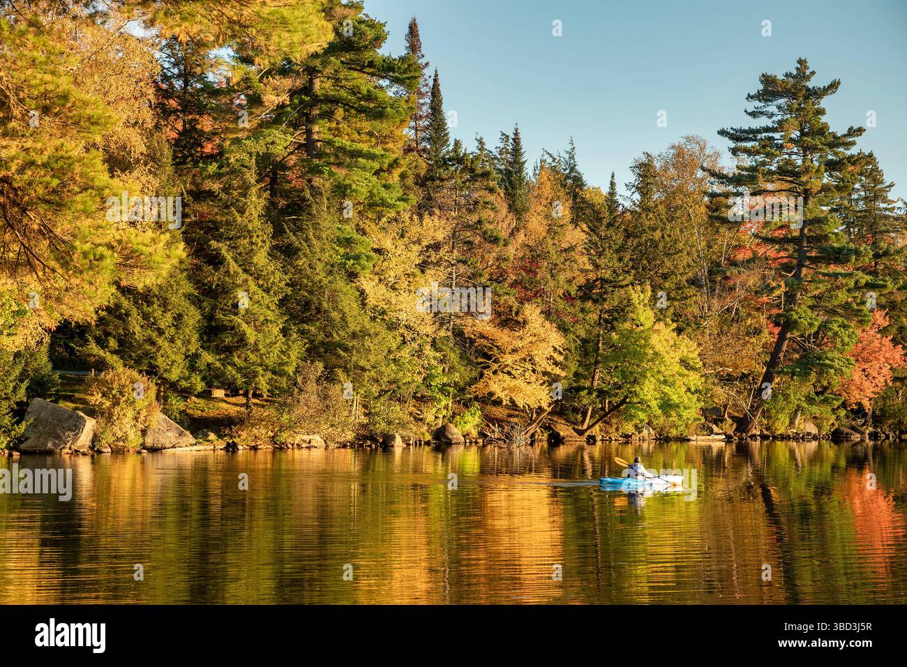 Colorful trees reflect their vibrant autumn hues along the waters of ...