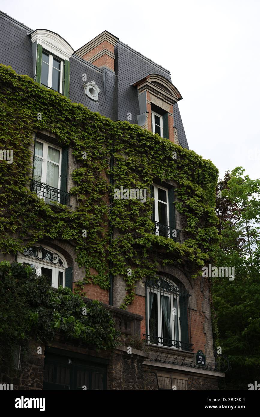 A striking ivy-covered multi-story building showcases elegant European ...