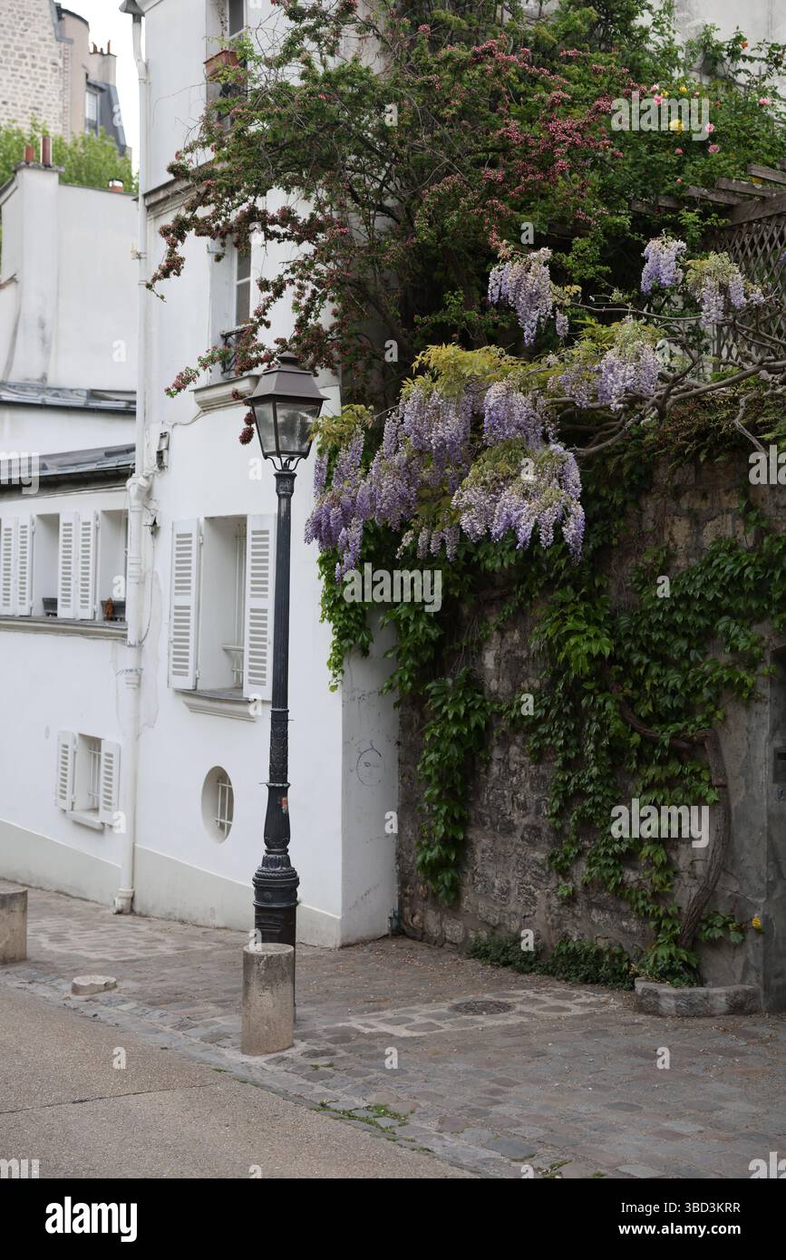 Serene street corner features hi-res stock photography and images - Alamy