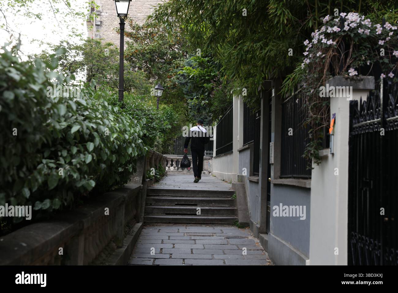 A scenic pathway lined with lush greenery and stone steps creates a ...
