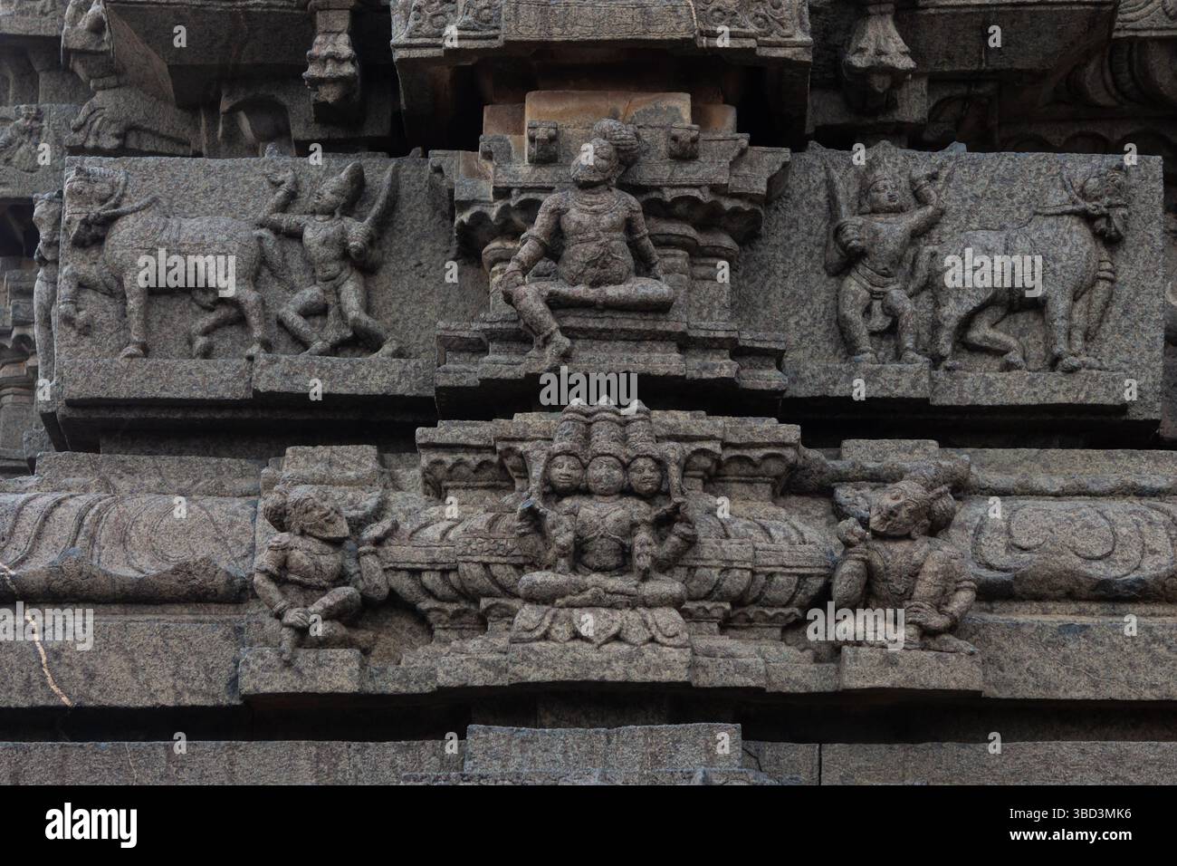 Beautifully Carved Sculptures Hindu Deities on the Sri Chintala ...