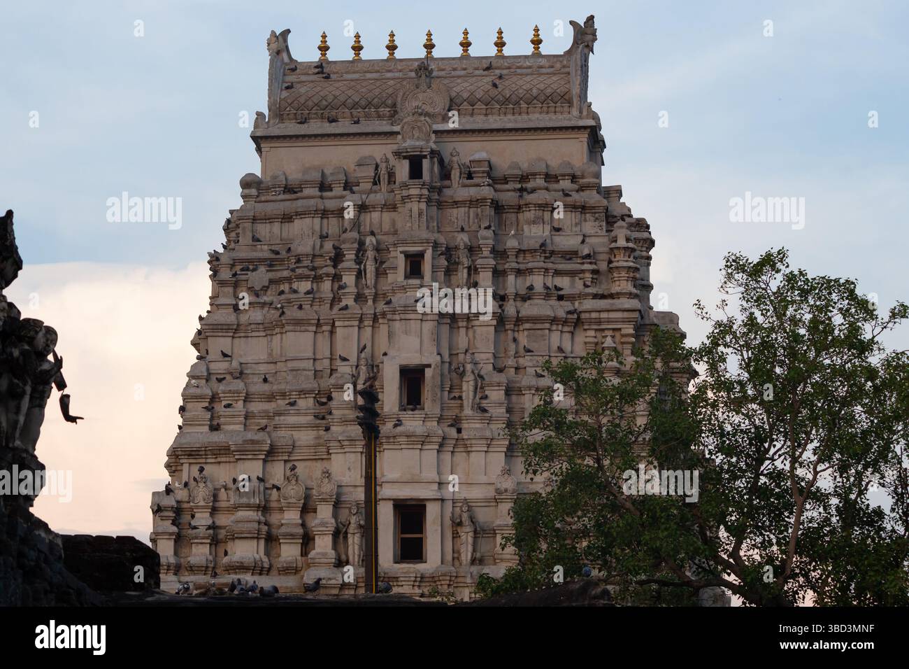 India, Andhra Pradesh, Sri Yaganti Uma Maheswara Temple, 15th Century ...