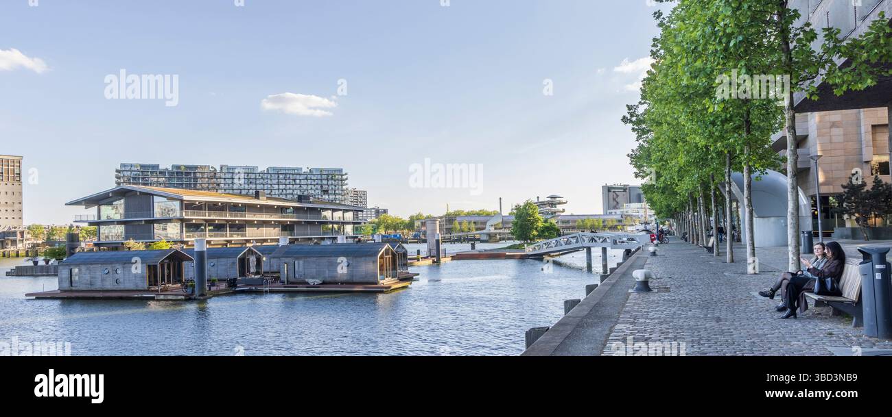 Rotterdam , The Netherlands - Waterfront Kop van Zuid with tiny ...