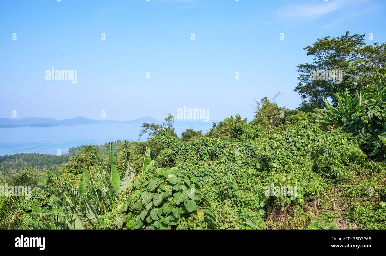Sunny island in summer vacation hi-res stock photography and images - Alamy