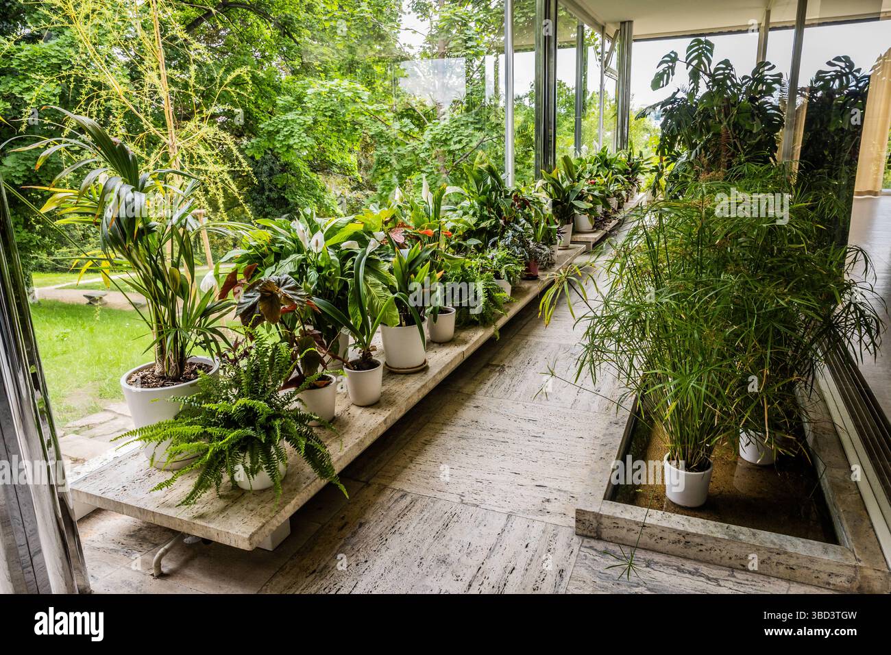 VILLA TUGENDHAT Interior of Villa Tugendhat, designed by the German ...