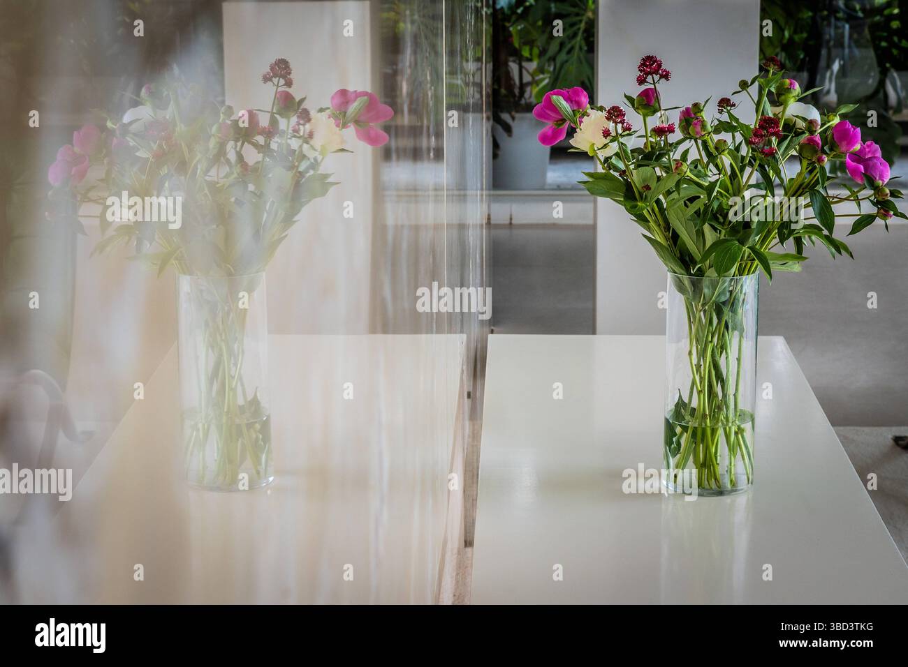 VILLA TUGENDHAT Interior of Villa Tugendhat, designed by the German ...