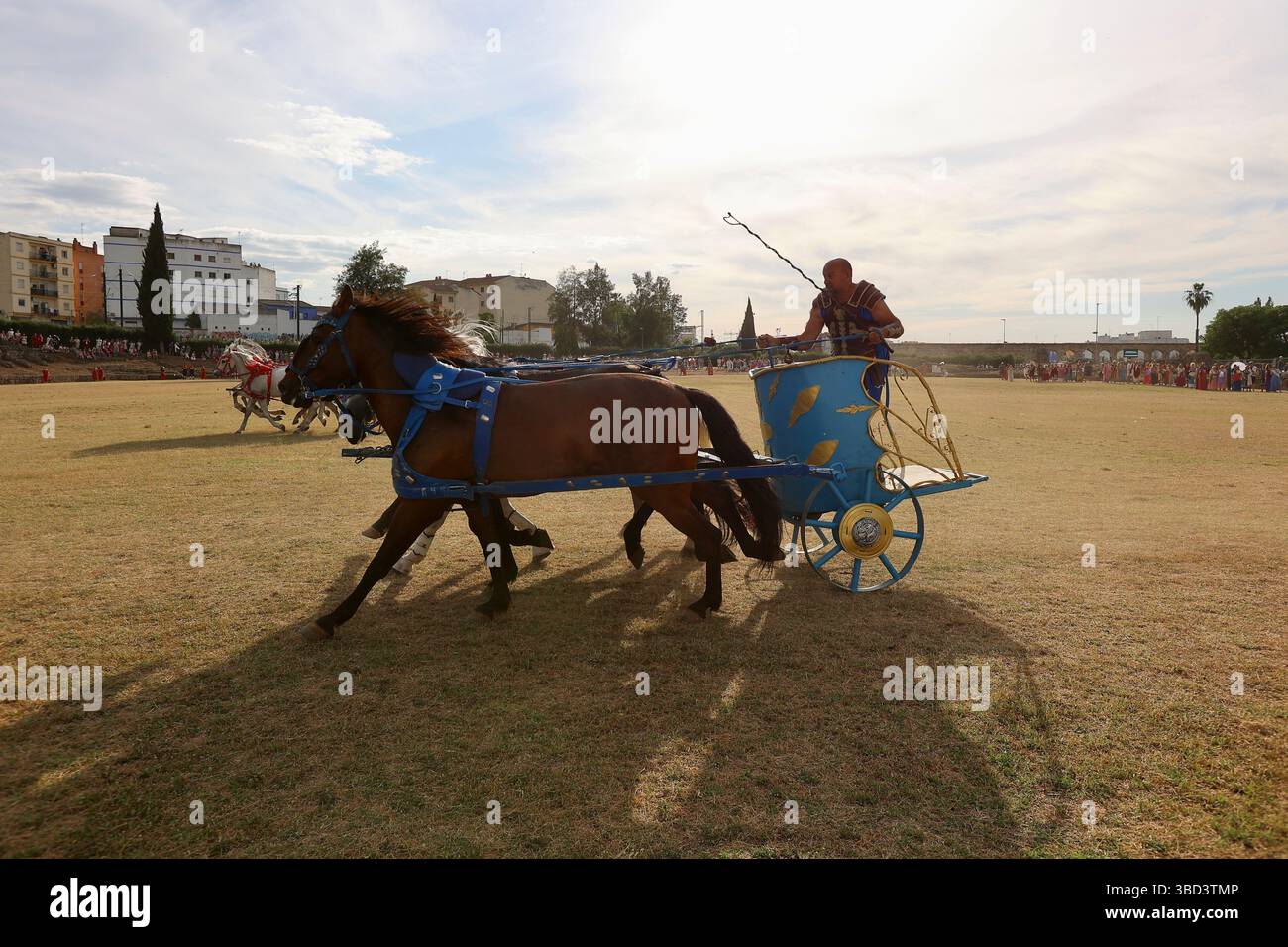 First chariot race in the Roman Circus of Merida, on May 22, 2025, in ...