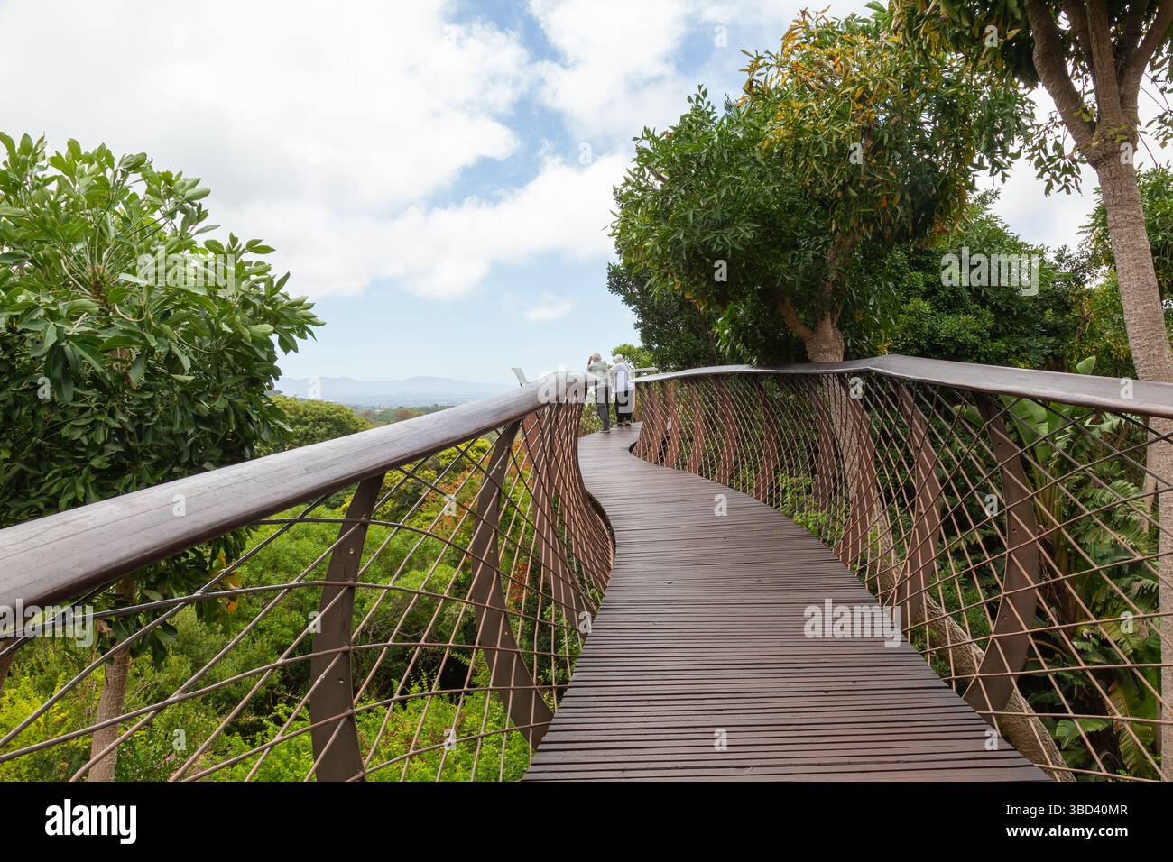 Elderly tourists enjoying view from Boomslang Canopy Walk, Kirstenbosch ...