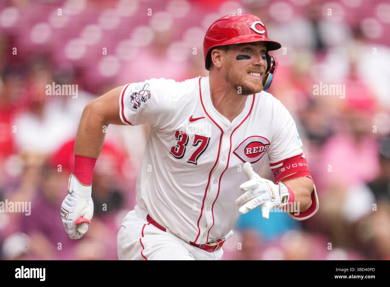 Cincinnati Reds' Tyler Stephenson (37) looks on during a baseball game ...