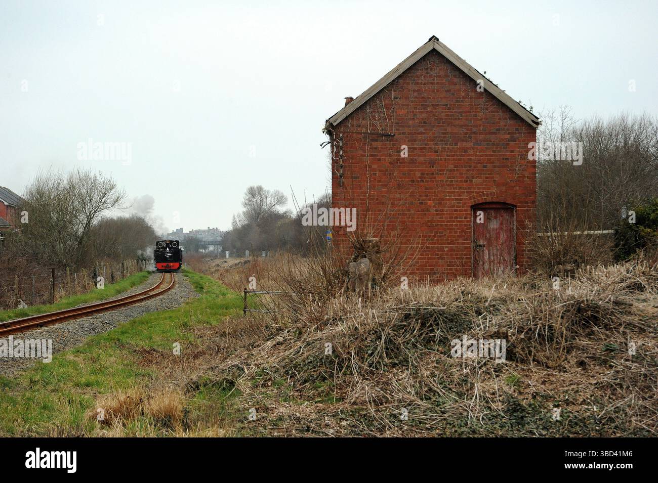 "Prince of Wales" with a mixed train, approaching Llanbadarn Fawr Stock ...