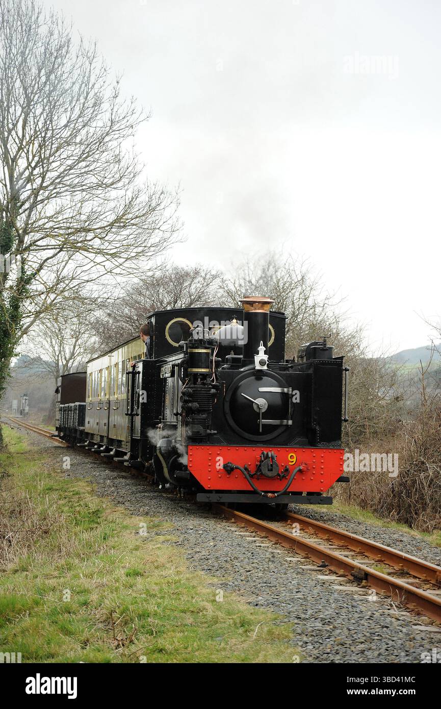 "Prince of Wales" at Llanbadarn Fawr with a mixed train Stock Photo - Alamy