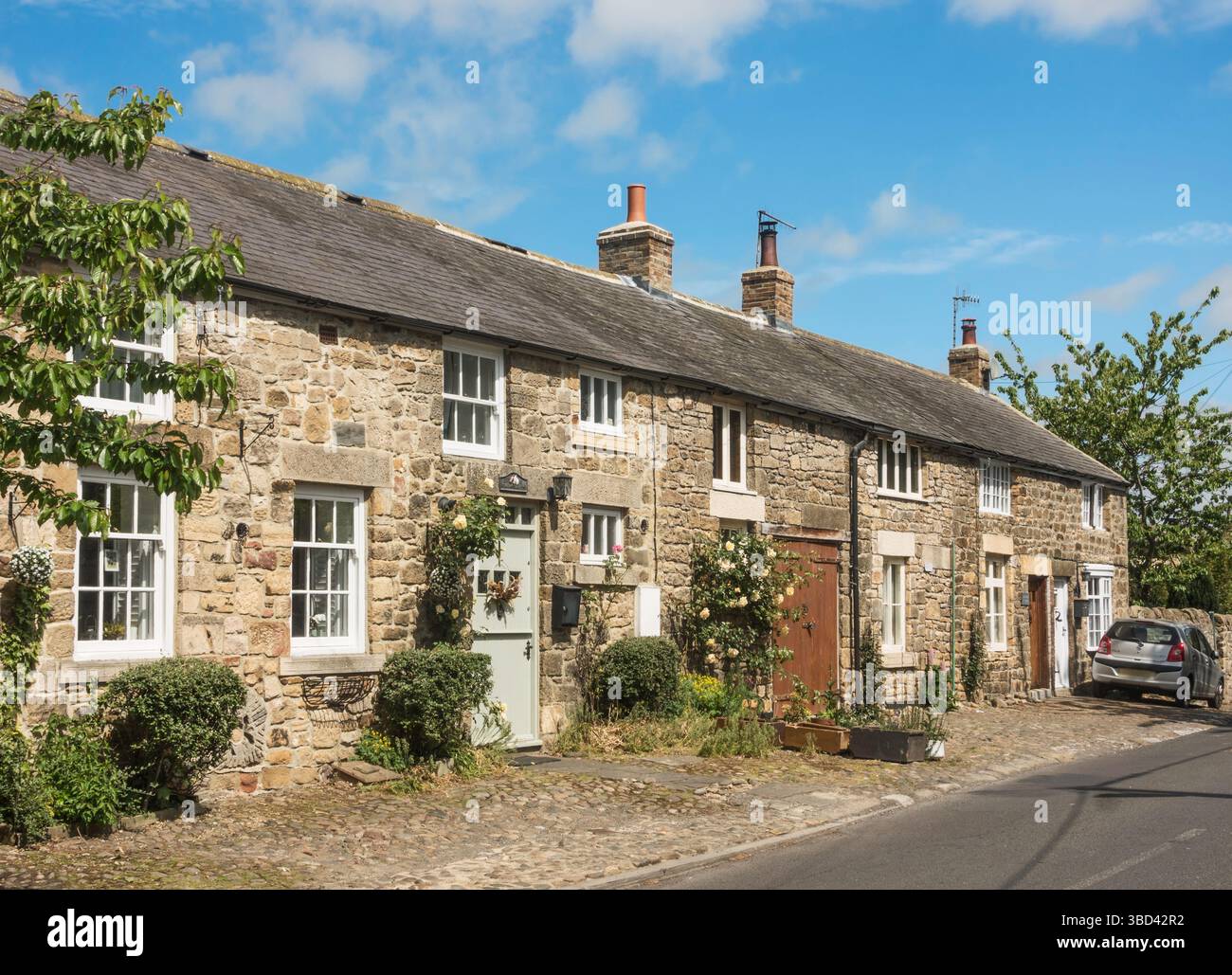 A row of stone built terraced cottages in Ovingham, Northumberland ...