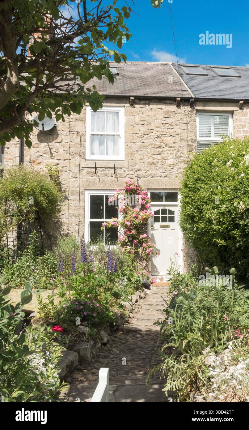 A terraced cottage garden, Ovingham. Northumberland, England, UK Stock ...
