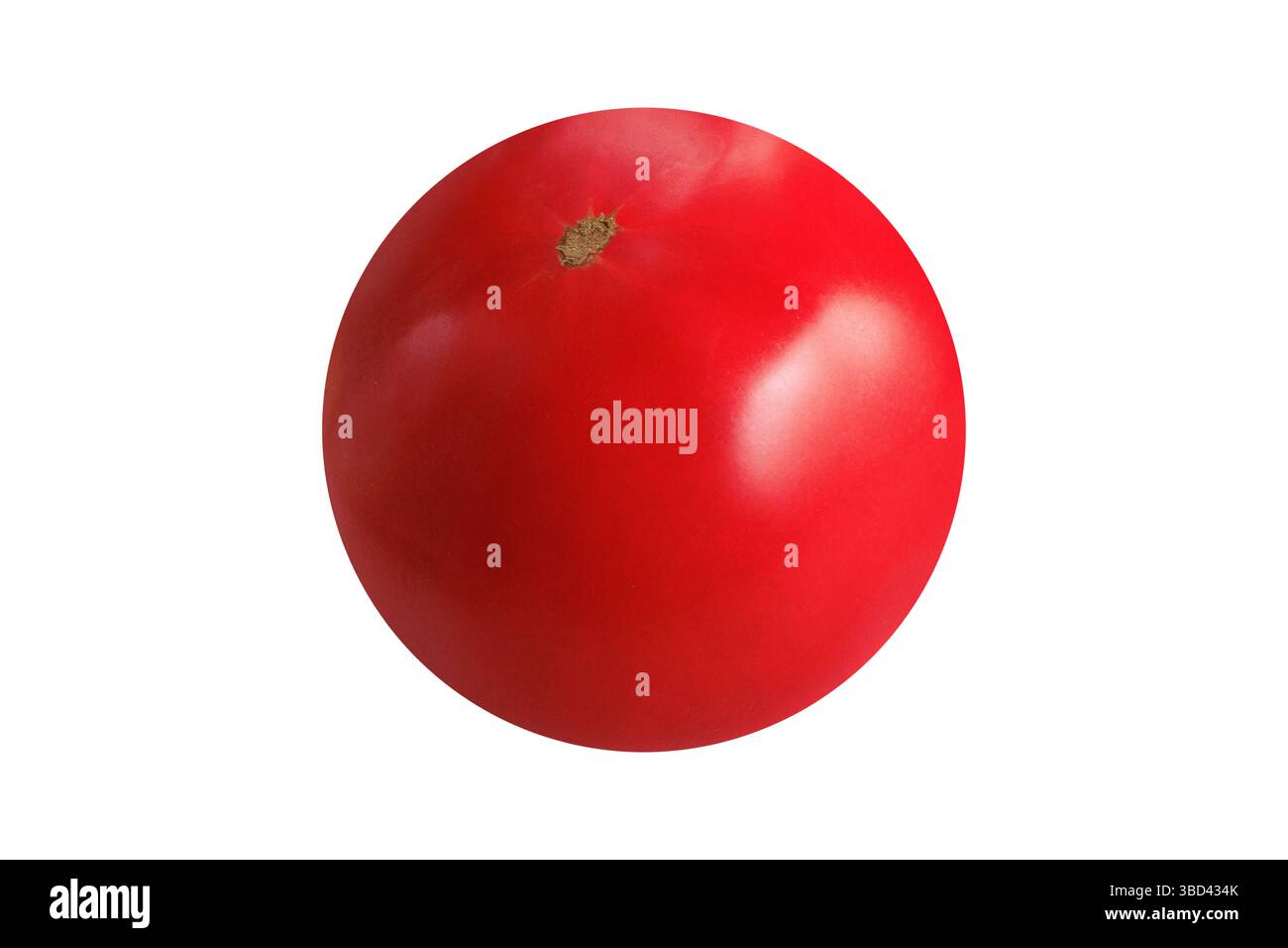 Tomato on isolated white background. One red tomato Stock Photo - Alamy