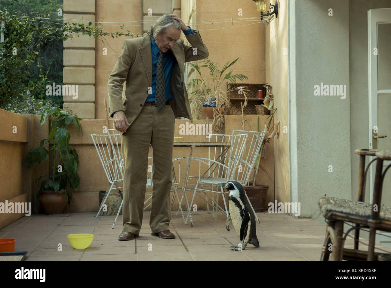 The Penguin Lessons (2024) Steve Coogan *Filmstill - Editorial Use Only ...