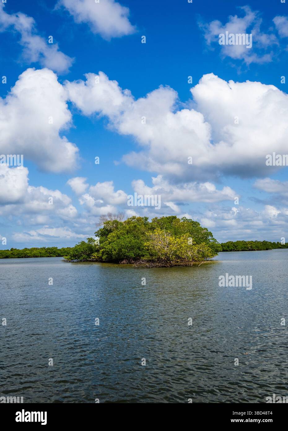 The Ten Thousand Islands in Everglades National Park in southwest ...