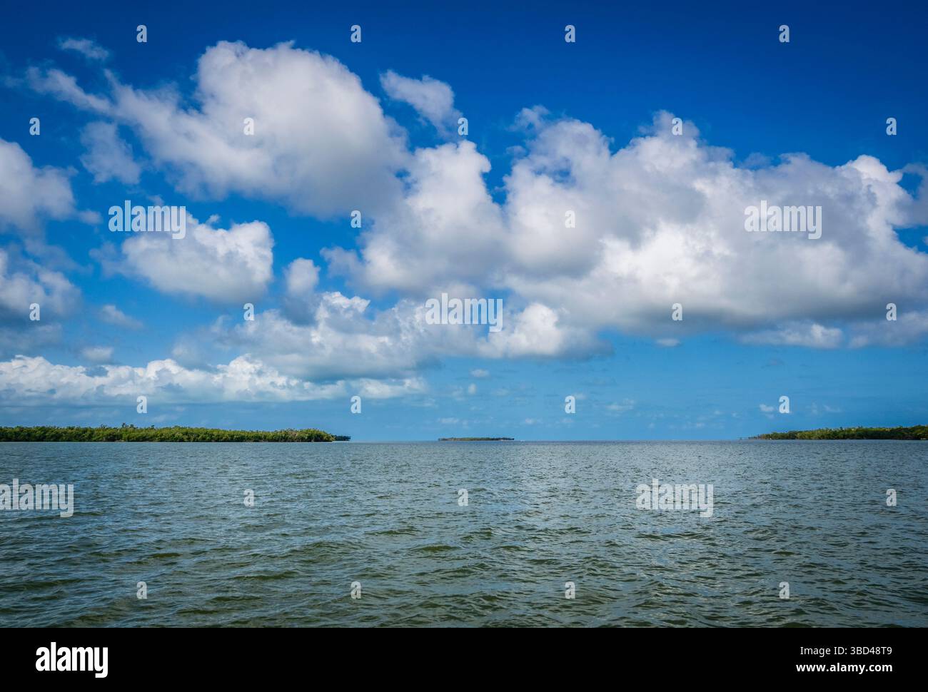 The Ten Thousand Islands in Everglades National Park in southwest ...