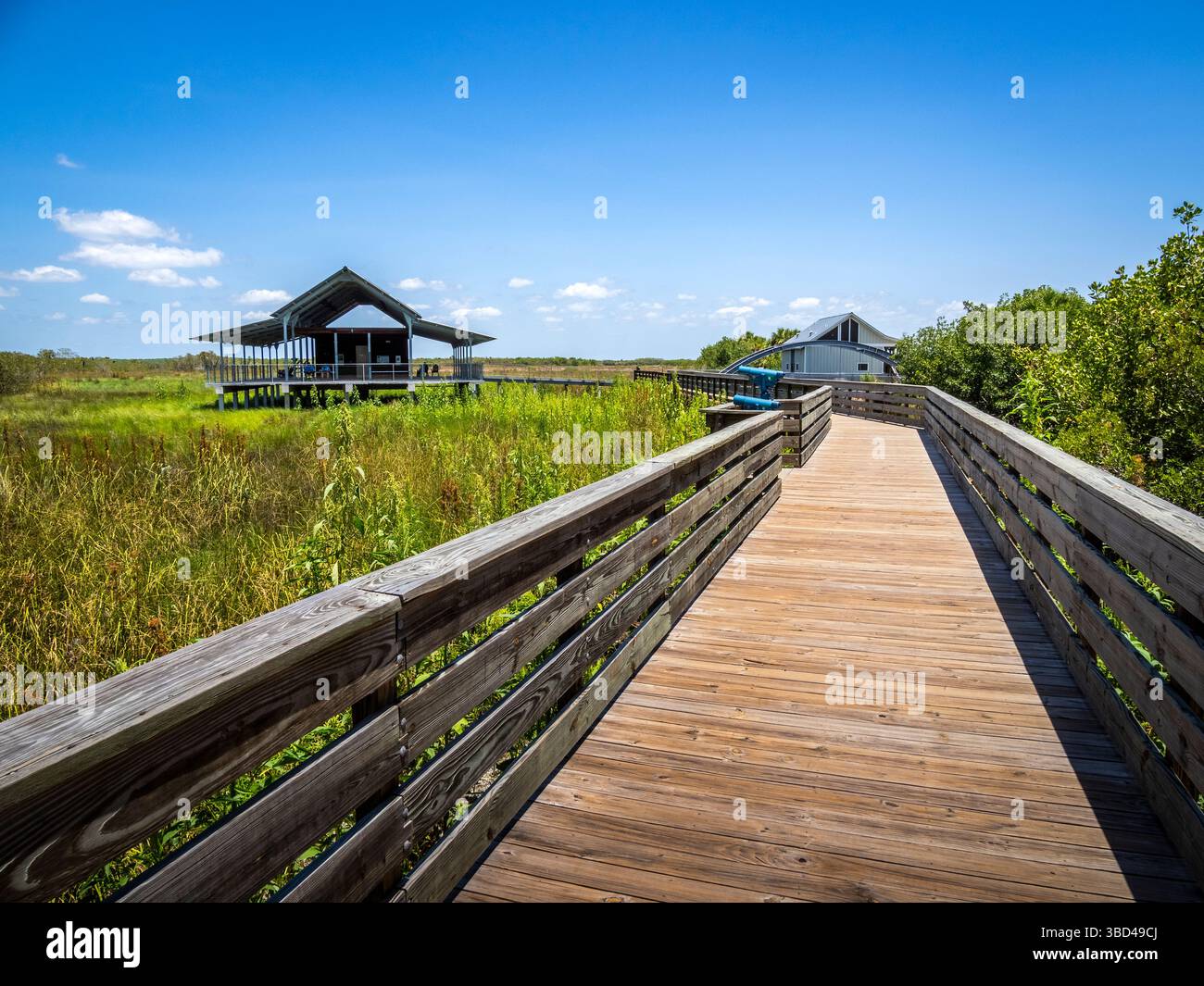 Big Cypress Bend Boardwalk in Fakahatchee Strand Preserve State Park in ...