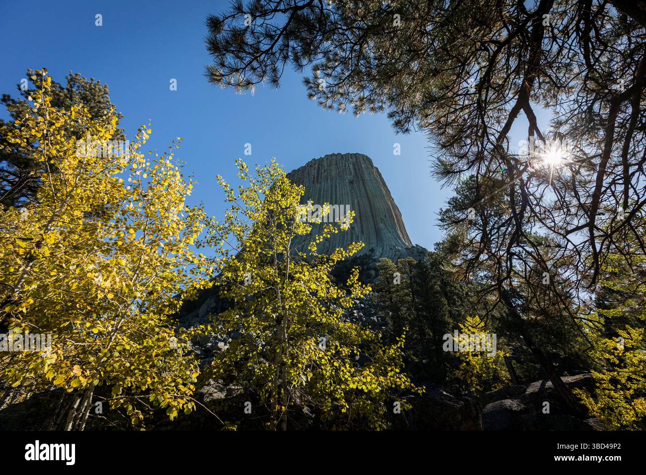 Devil's Tower National Monument, a rare form of igneous rock, rises out ...