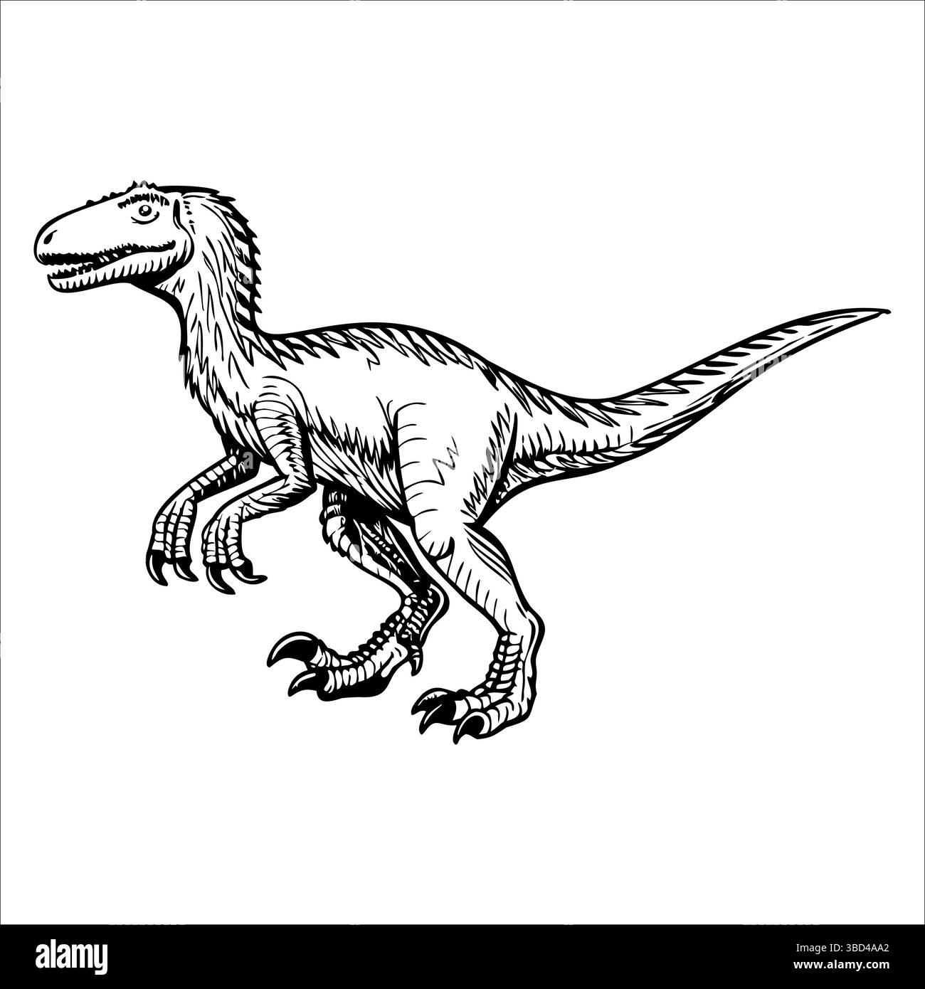 Agile bipedal animal Black and White Stock Photos & Images - Alamy