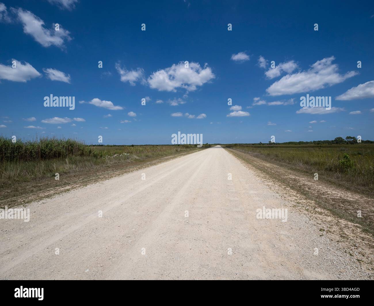 Long, straight, flat section of Upper Wagonwheel Road in the Big ...