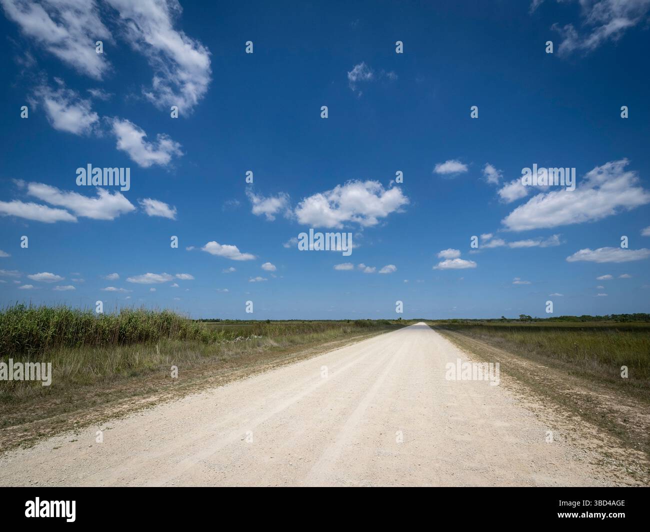 Long, straight, flat section of Upper Wagonwheel Road in the Big ...