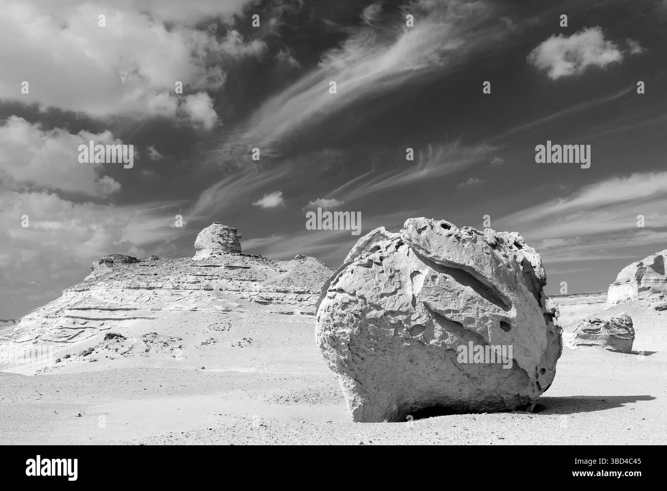 Boulder at Wadi al-Hitan, the Valley of the Whales, in the Sahara ...