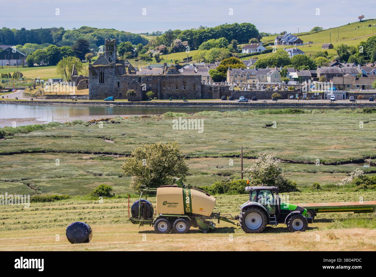 Timoleague Abbey, Co. Cork Stock Photo - Alamy