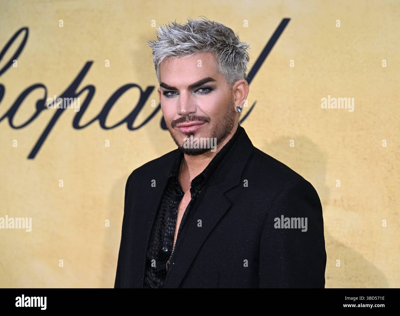Cannes, France. May 22nd, 2025. Adam Lambert attending the 2025 amfAR ...
