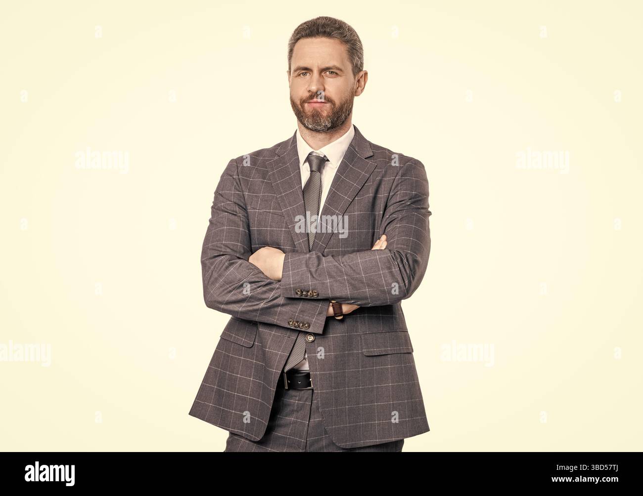 Successful CEO in suit. Confident entrepreneur. Business leadership ...