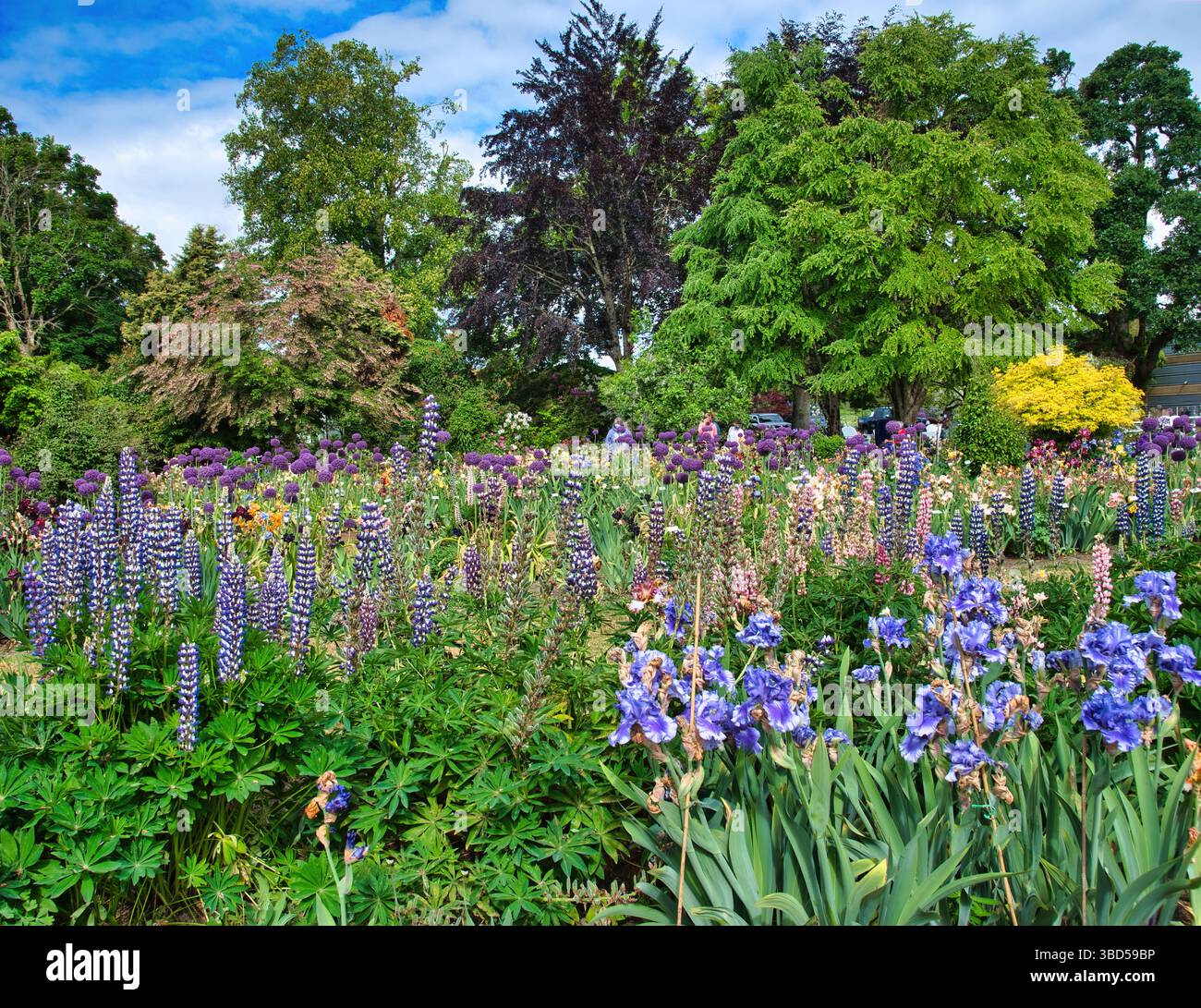 Schreiner's Iris Farm and Gardens has been family owned for over 100 ...