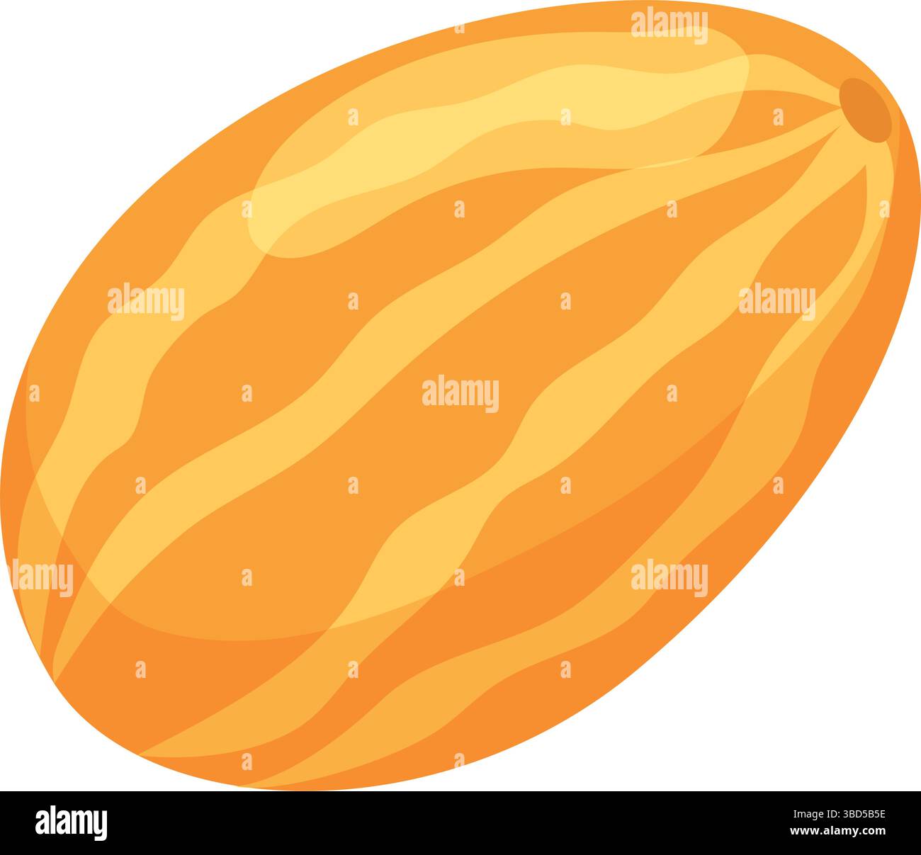 Fresh organic yellow melon Stock Vector Images - Alamy