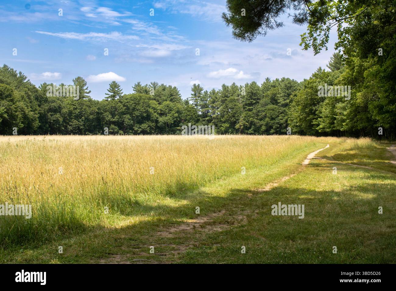 Borderland State Park: historic mansion charm meets peaceful nature ...