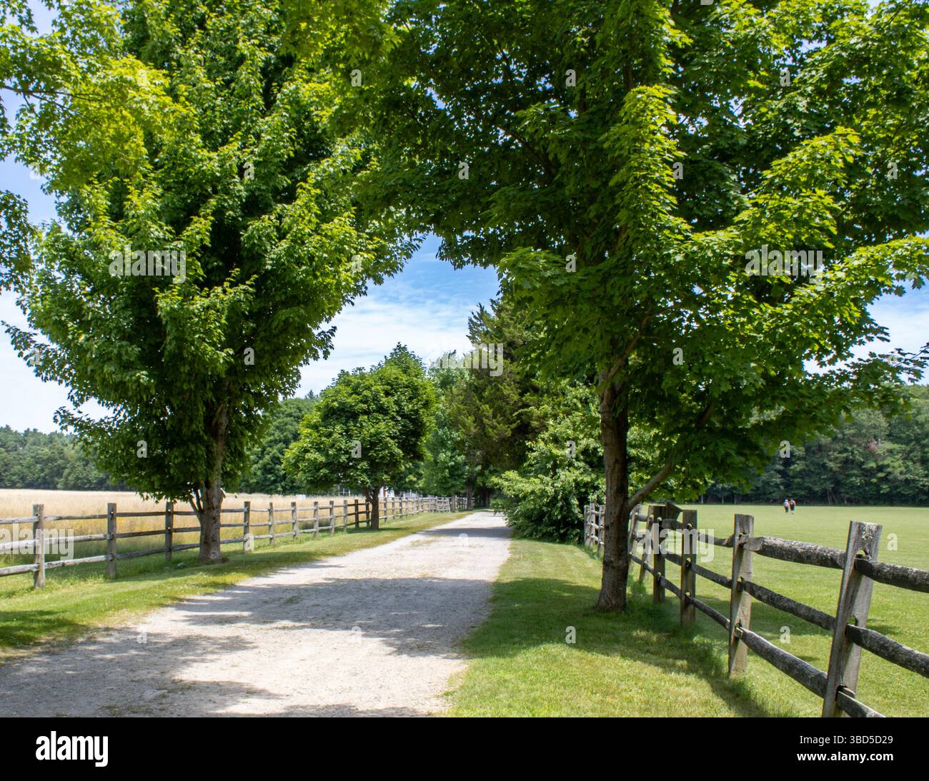 A classic 1800s New England Cape stands proudly, its white clapboard ...