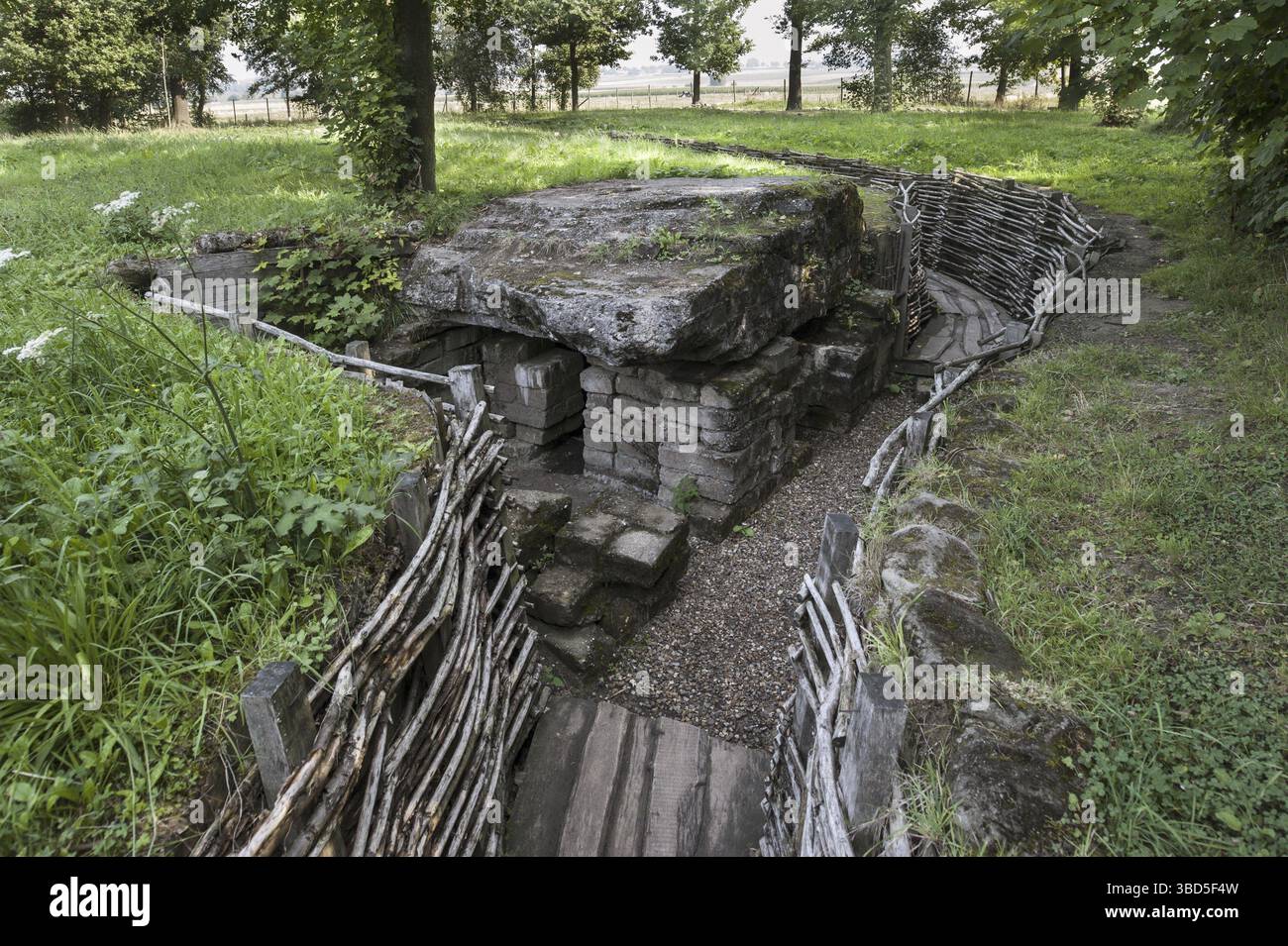 WWI bunker at Bayernwald, Croonaert Wood, reconstruction of German ...