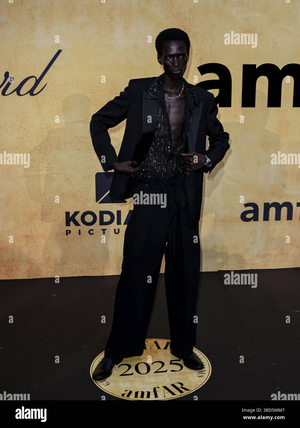 Cannes, Italy. 23rd May, 2025. Cap d'Antibes - amfAR Gala Cannes 2025 ...