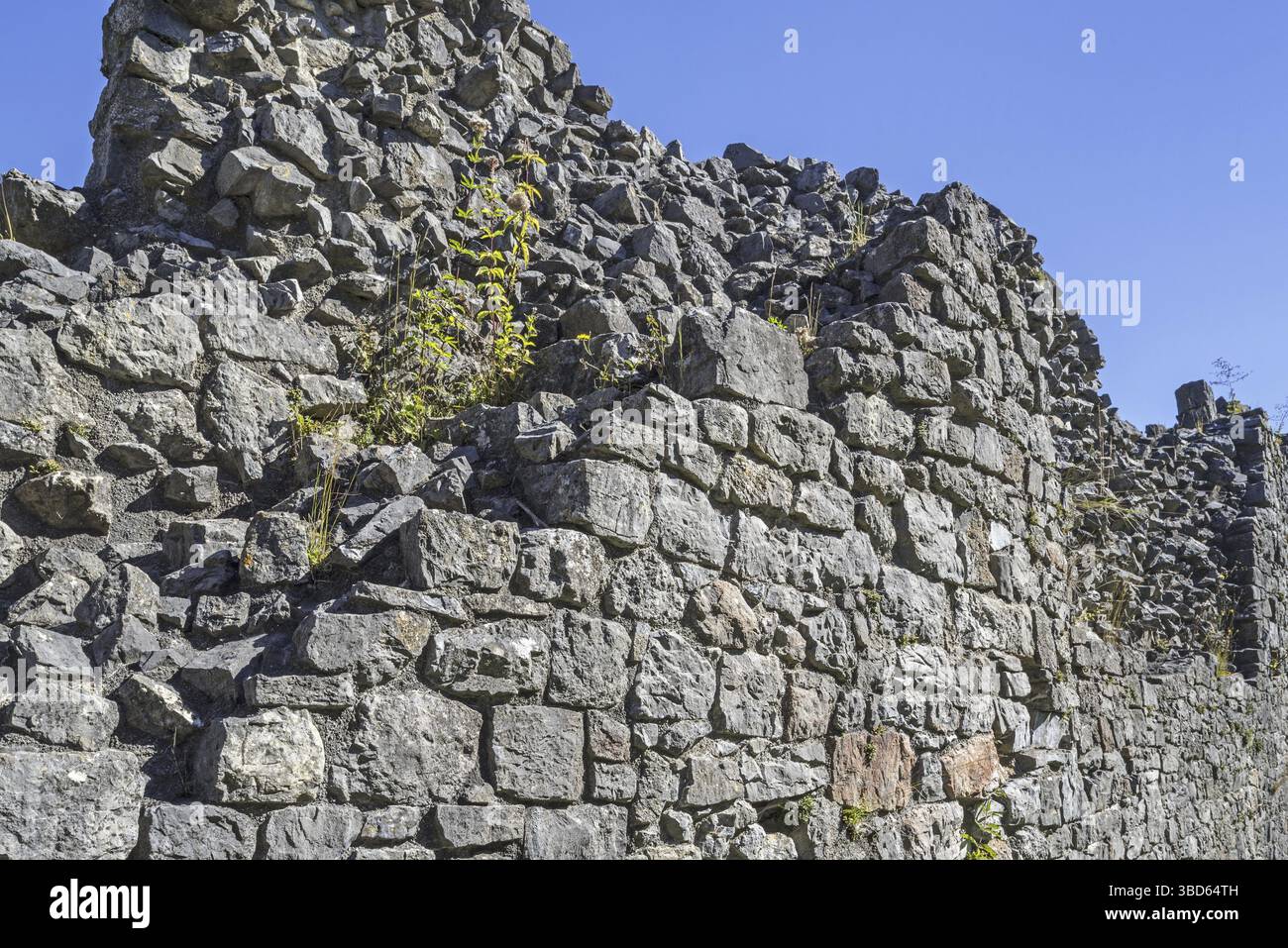 Thick stone wall of medieval castle showing two types of masonry ...