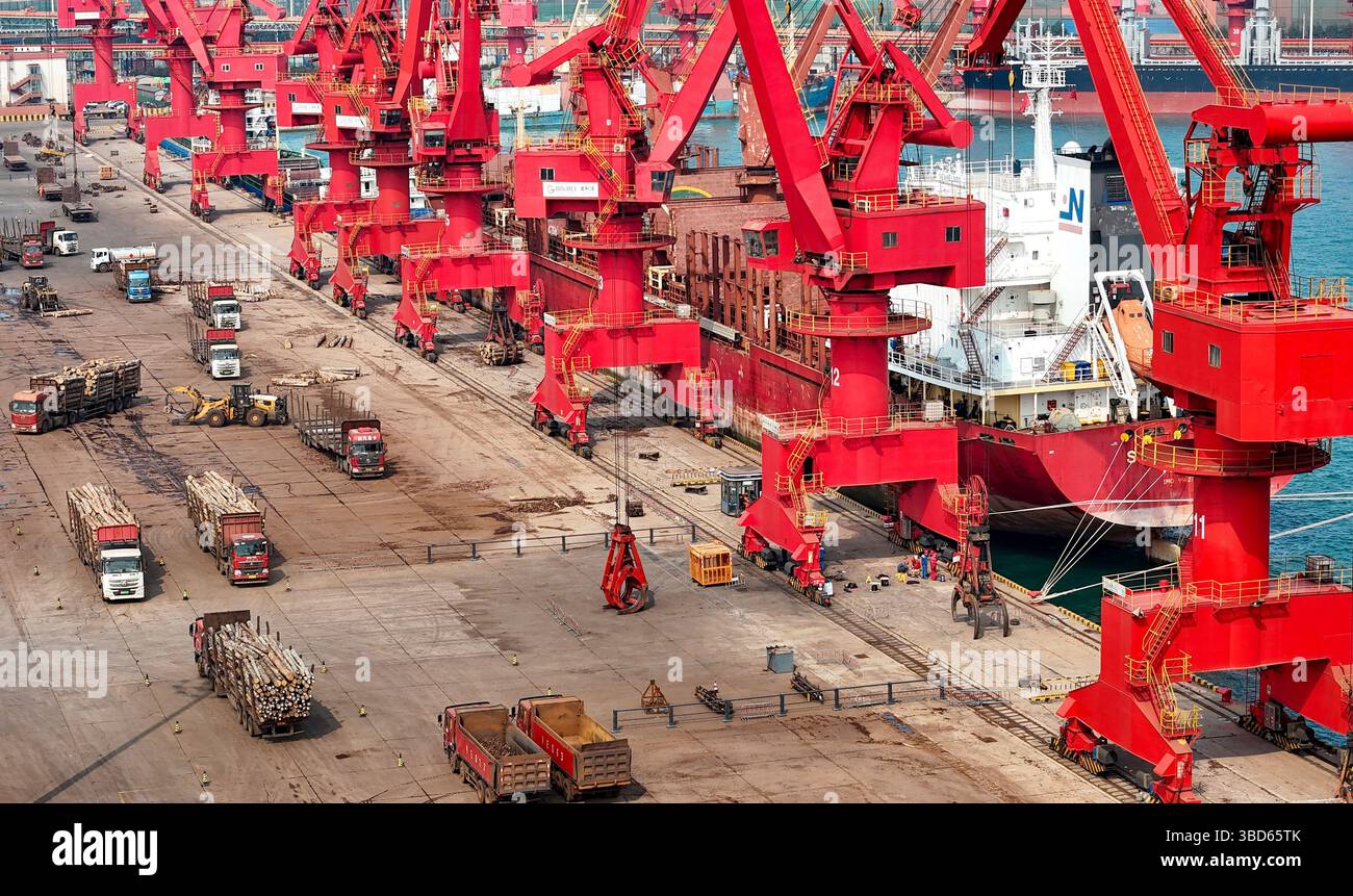 Quay cranes load imported timber from ships to trucks at a port in ...