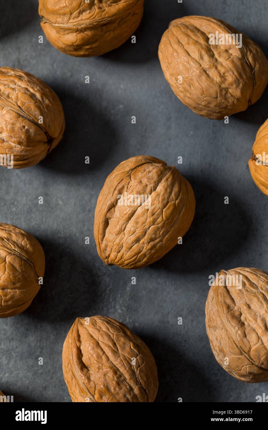 Organic Raw Walnuts in the Shell Ready to Eat Stock Photo - Alamy