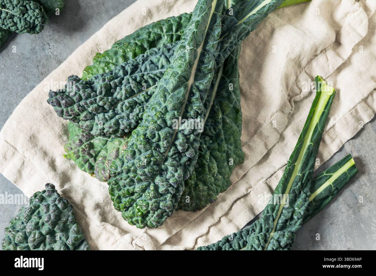 Organic Raw Green Lacinato Dinosaur Kale in a Bunch Stock Photo - Alamy