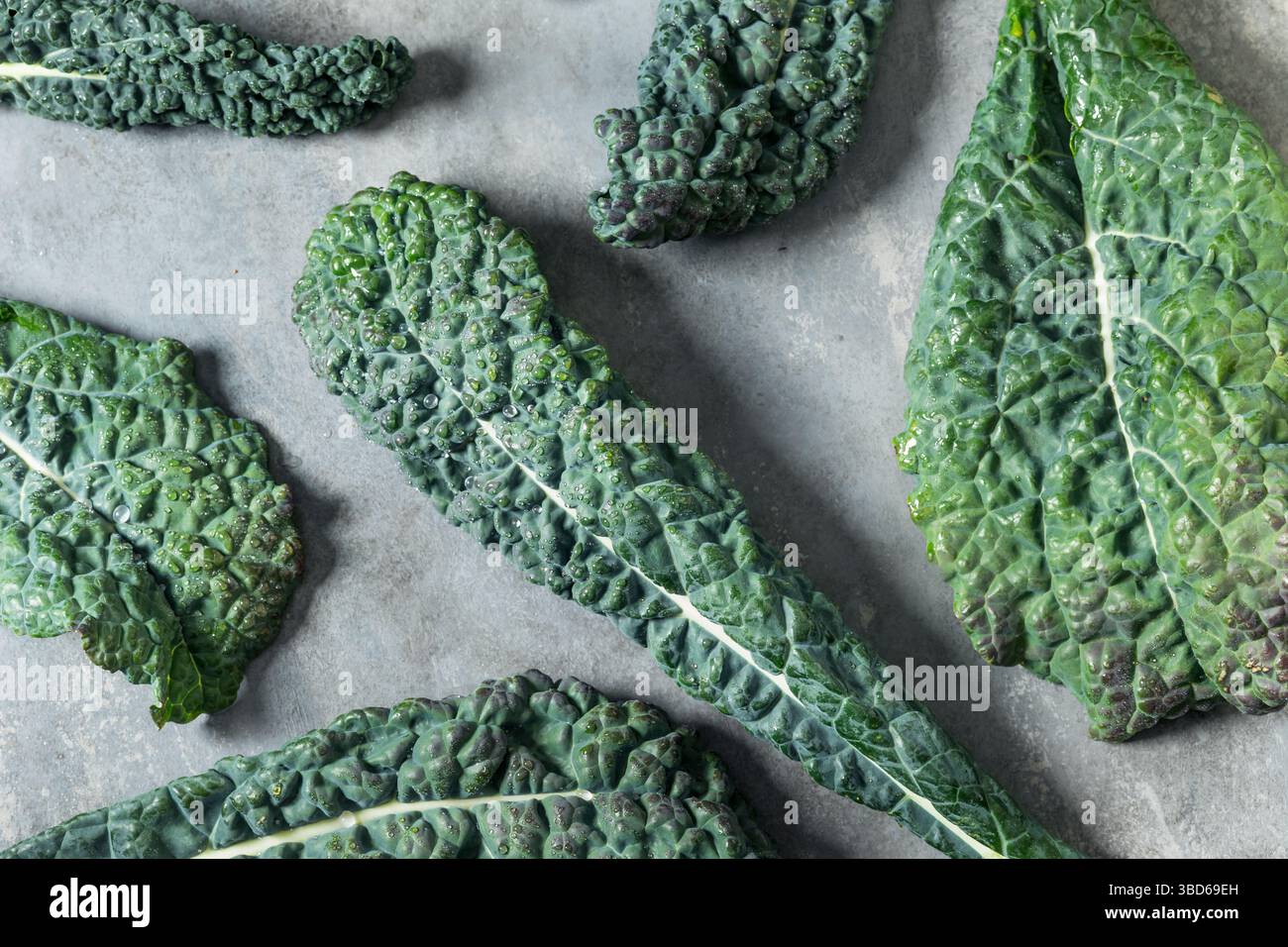 Organic Raw Green Lacinato Dinosaur Kale in a Bunch Stock Photo - Alamy