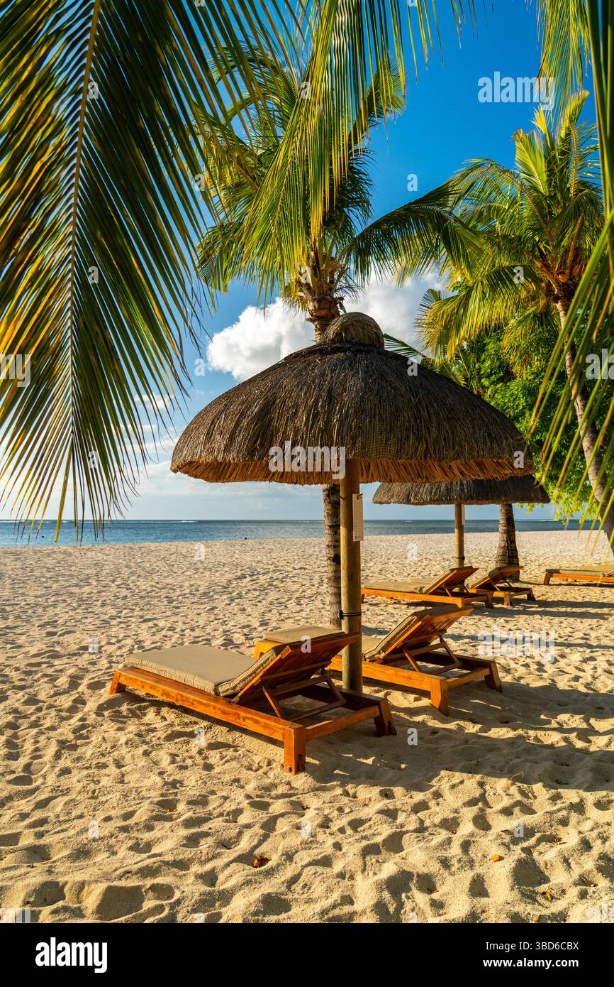 Wooden sun loungers shaded by palm-leaf umbrellas on a sandy tropical ...