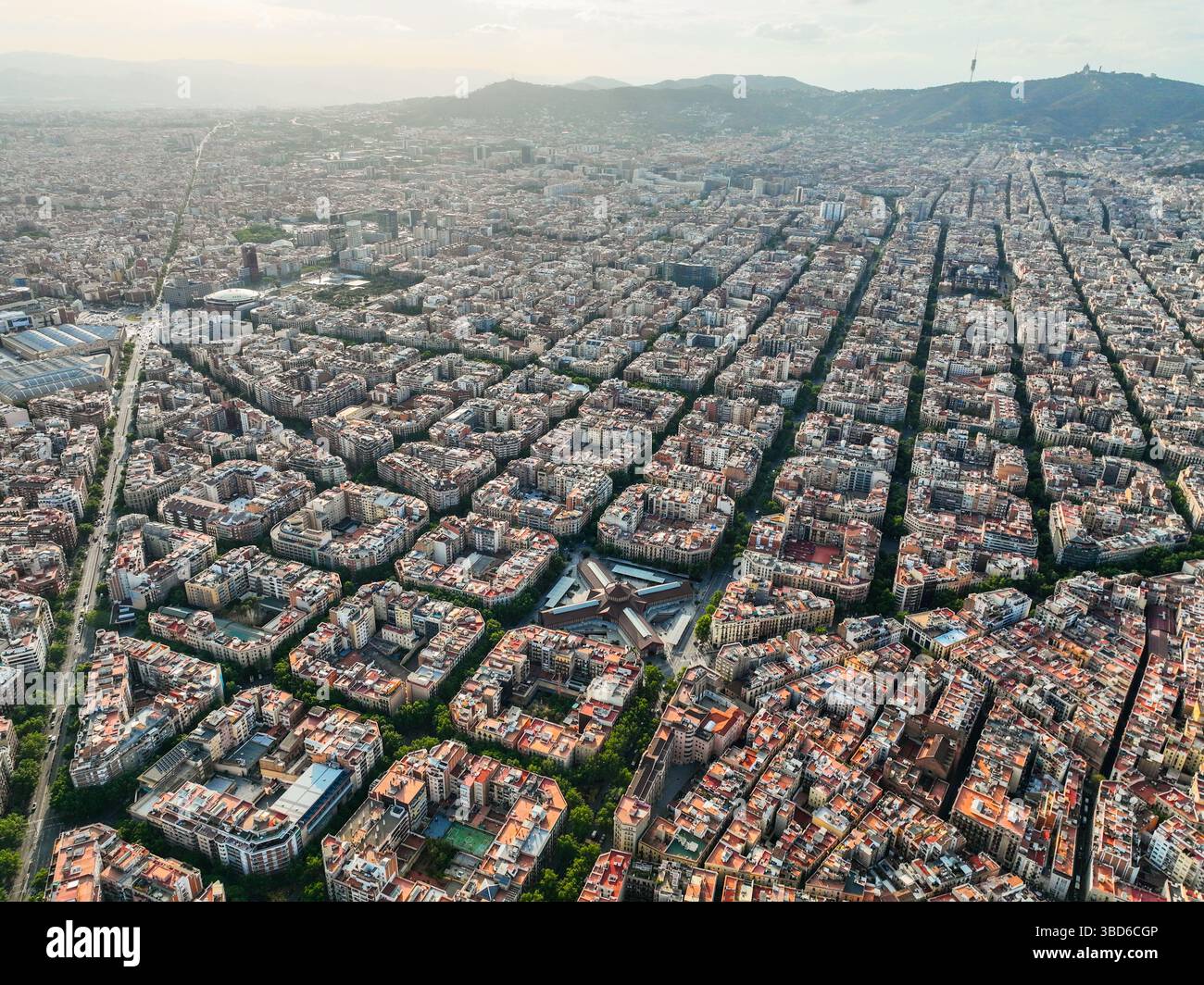 Elevated view of Barcelona's Eixample layout stretching to the hills ...