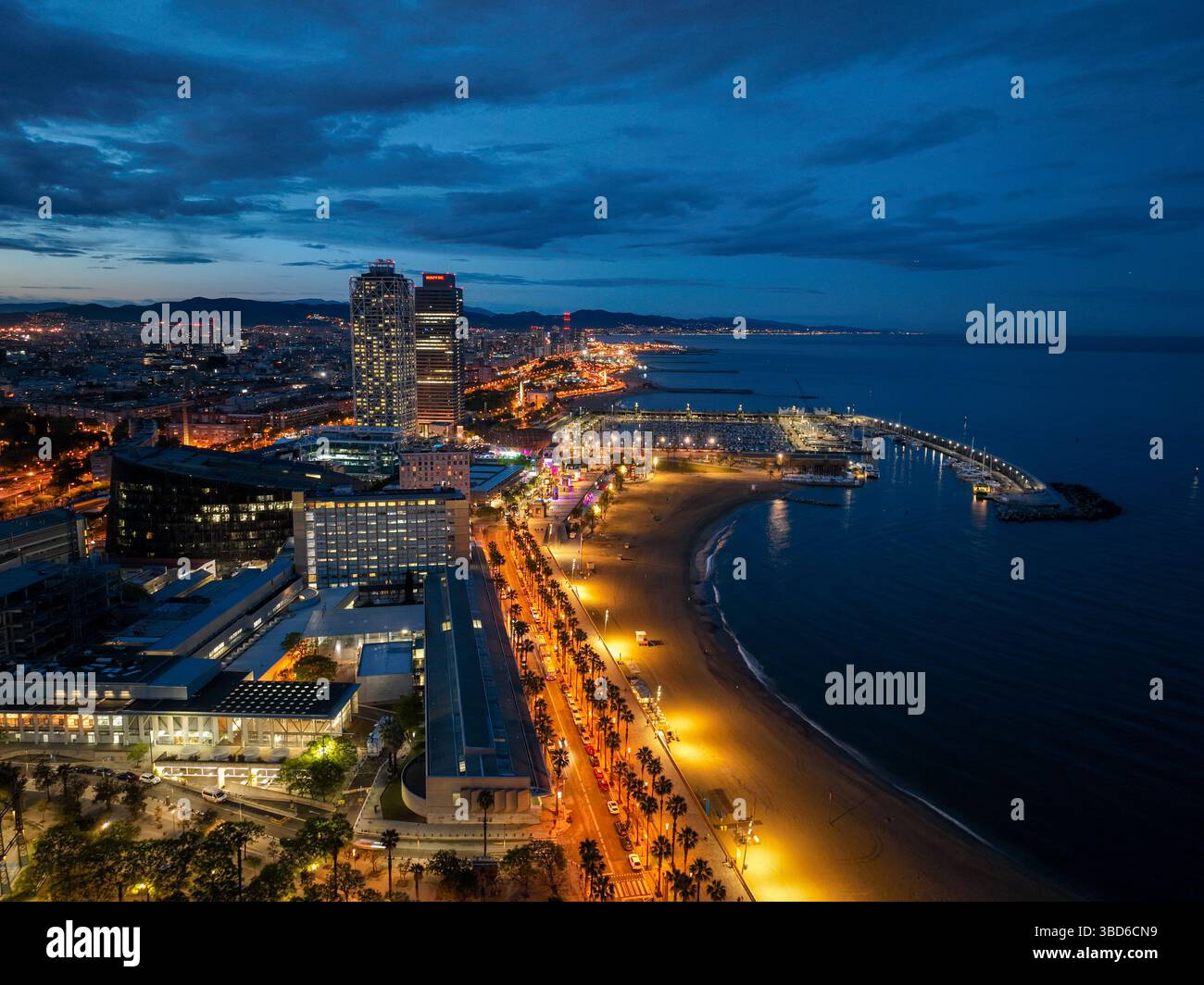 Nighttime view of palm-lined beach road and marina lit with golden ...