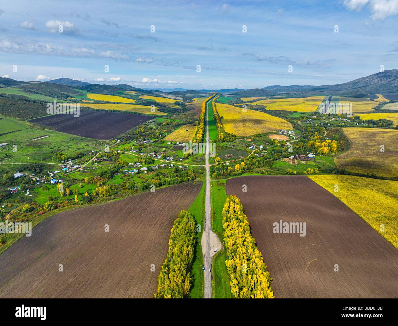 Aerial view of a narrow road running between green fields and yellow ...