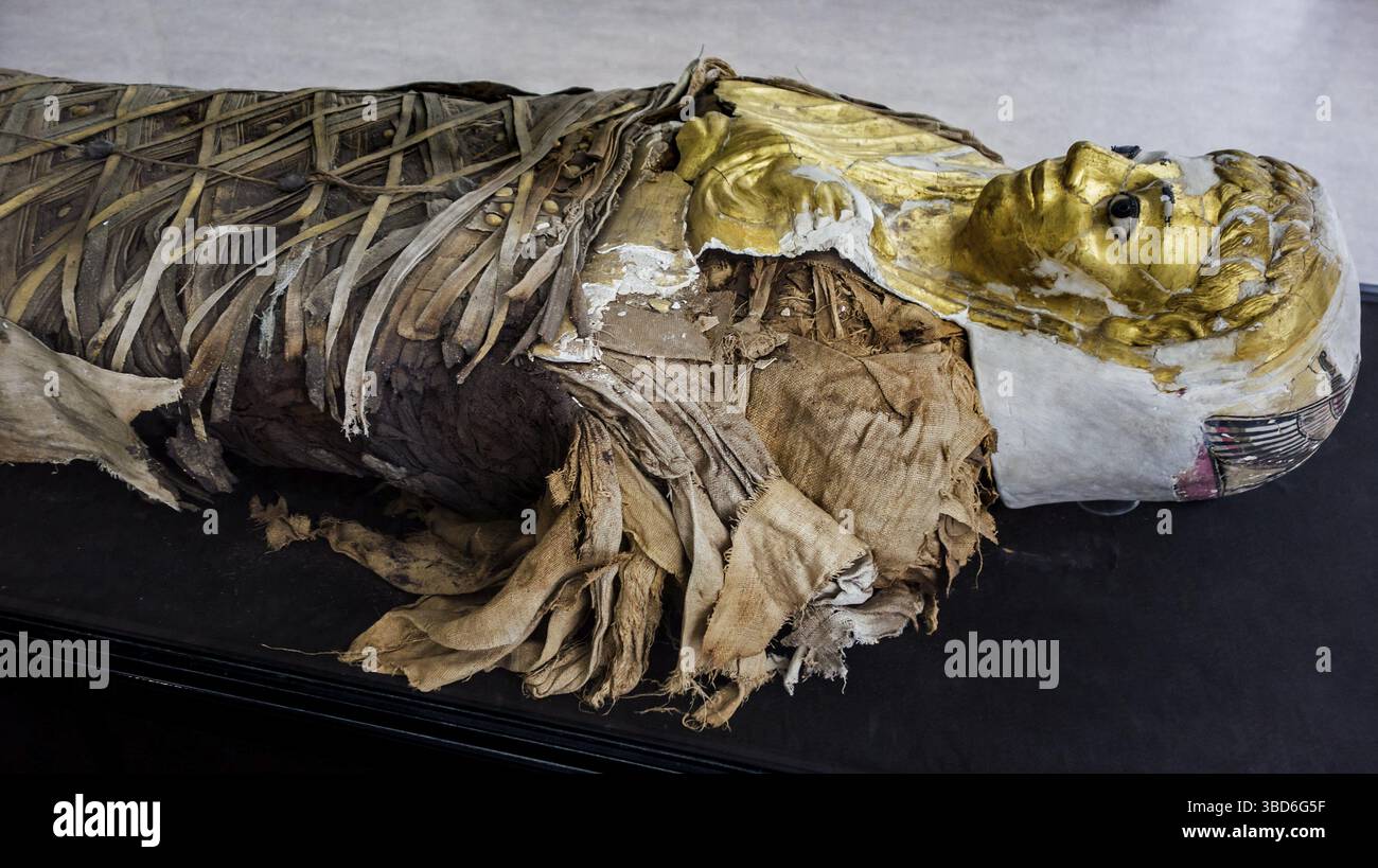 Close-up of a mummy from Fayum, Faiyum and part of a painted mummy case ...