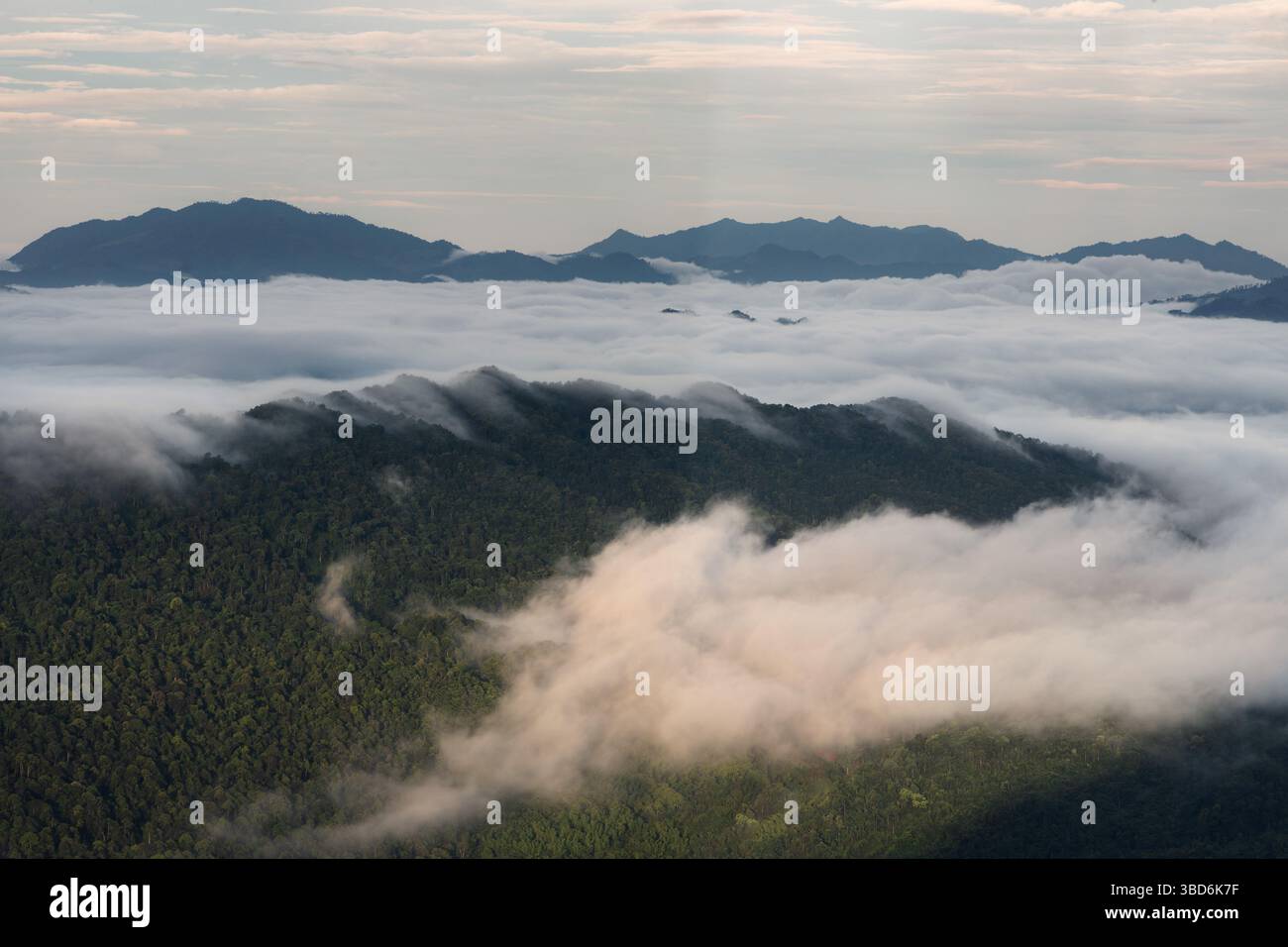 Mountain peaks descending lush hi-res stock photography and images - Alamy