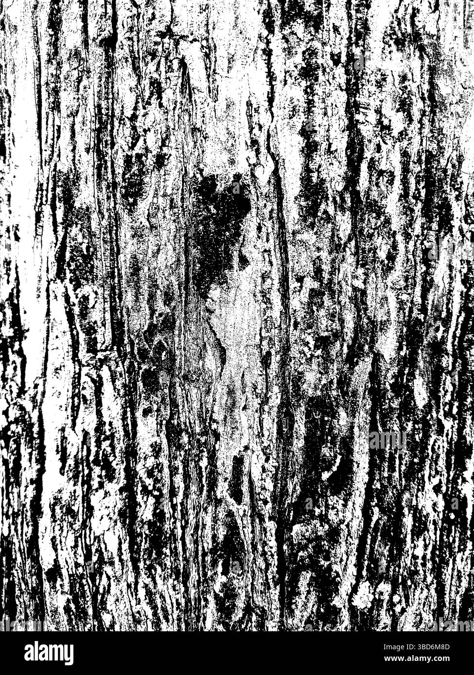 High resolution black and white grunge texture image depicting an old ...