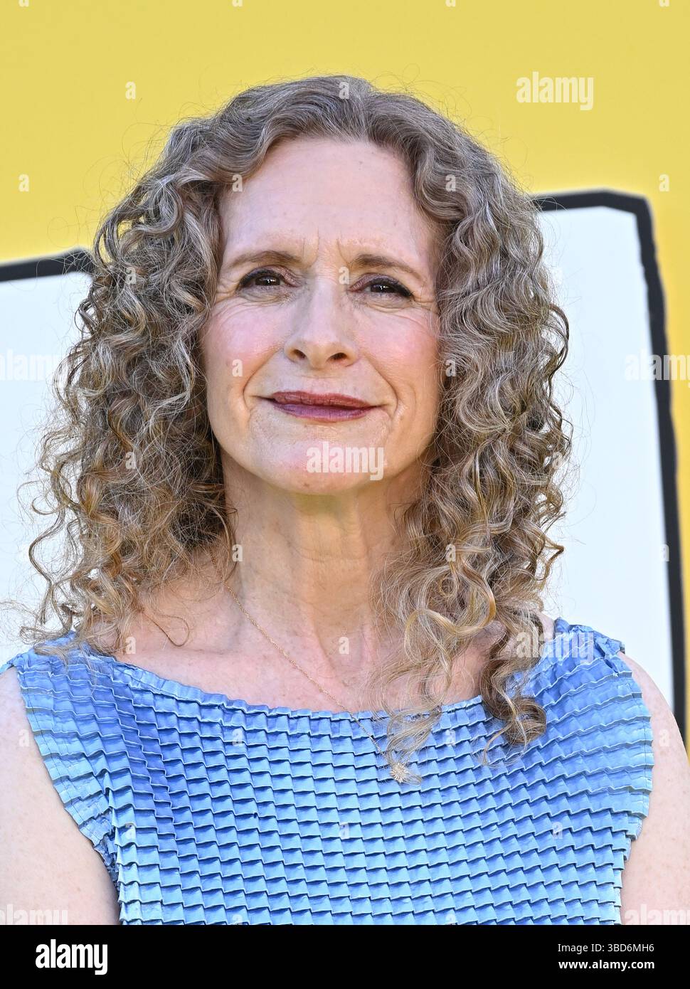 Hollywood, USA. 22nd May, 2025. Jennifer Flackett arriving to Netflix's ...